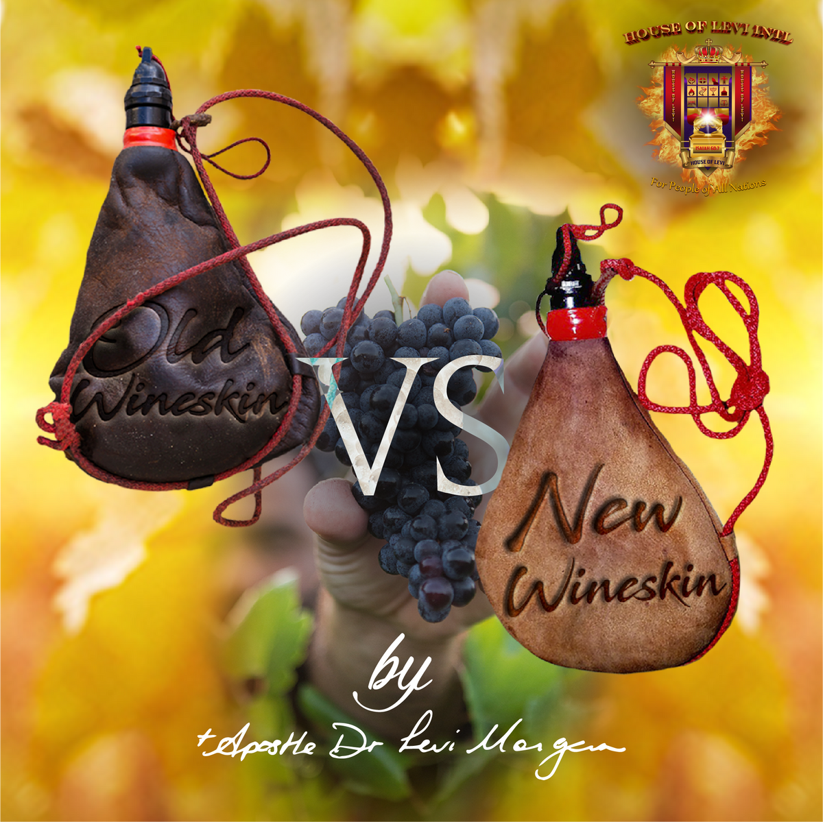 Old Wineskin Vs New Wineskin – Levi Morgan Global